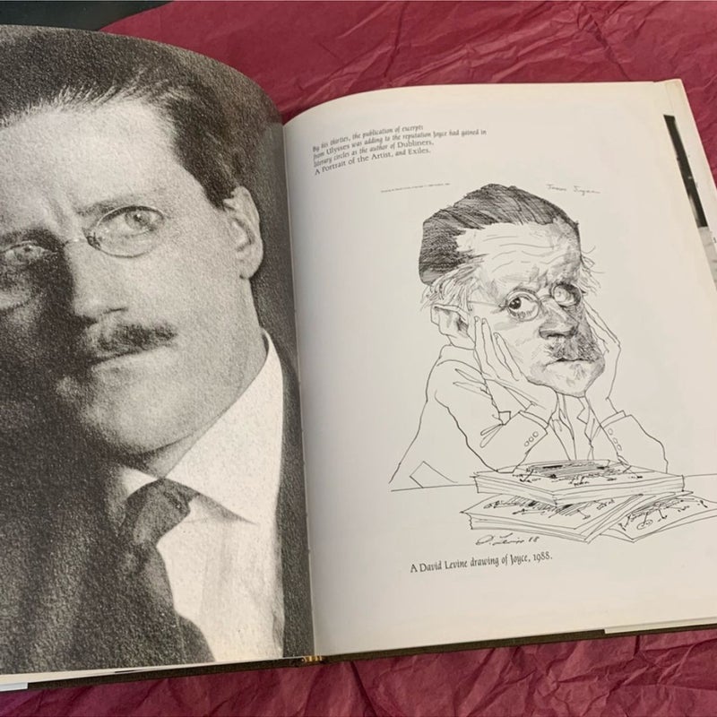 Joyce Images by Greg Vitiello, Bob Cato, Anthony Burgess