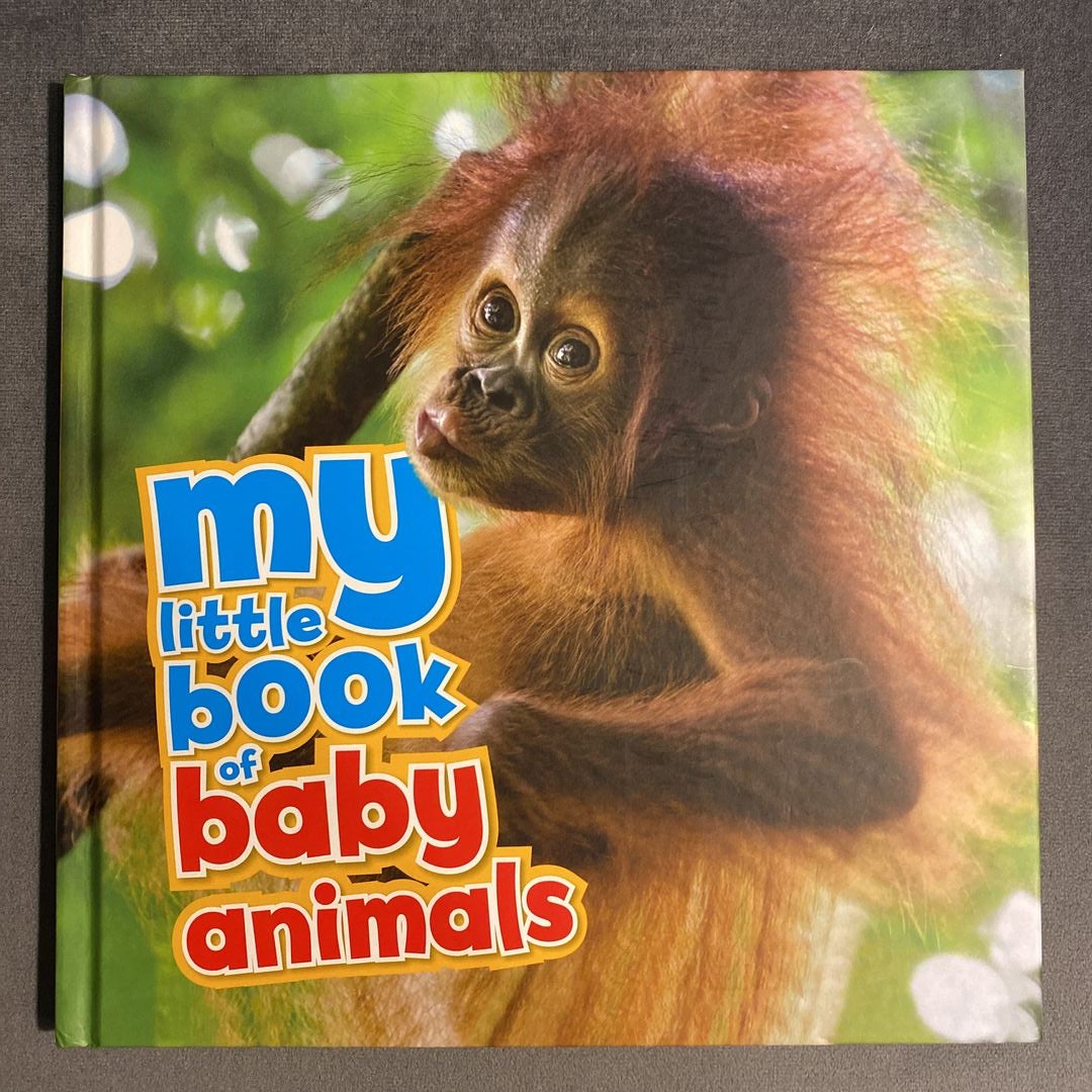 My Little Book of Baby Animals by Camilla De la Bédoyère