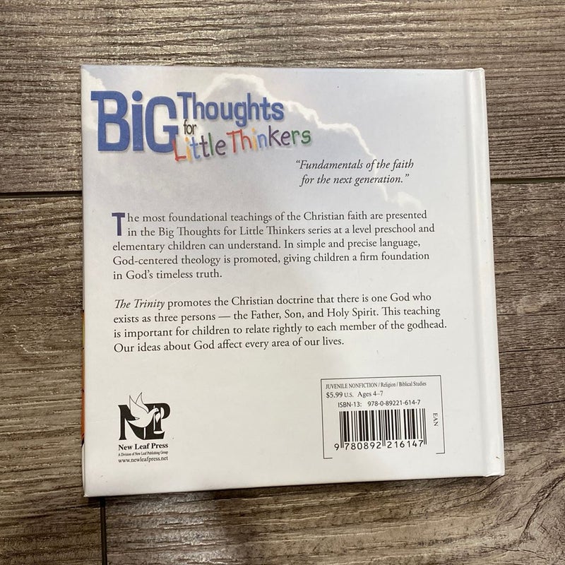 Big Thoughts for Little Thinkers by Joey Allen, Hardcover | Pangobooks