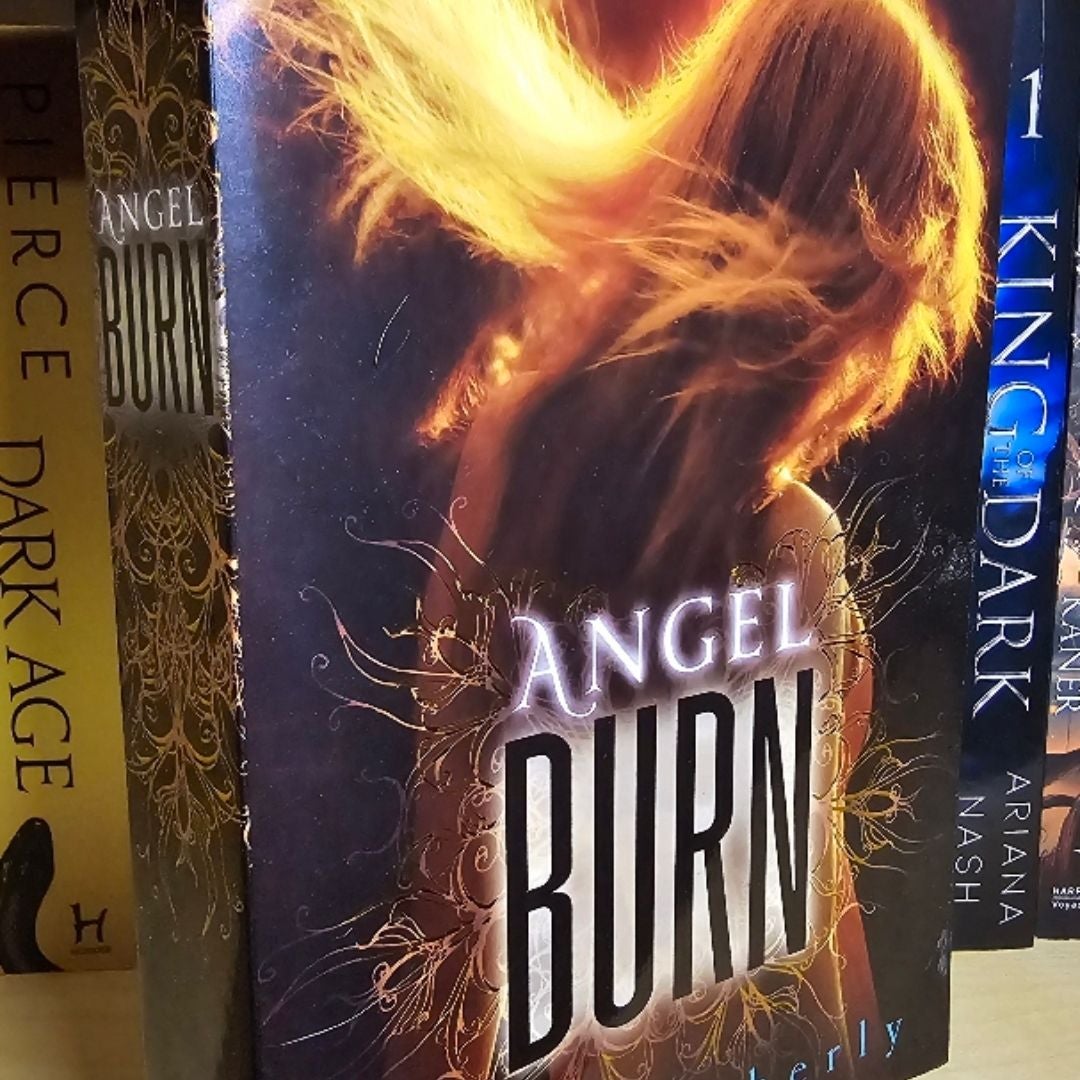 Angel Burn by L. A. Weatherly