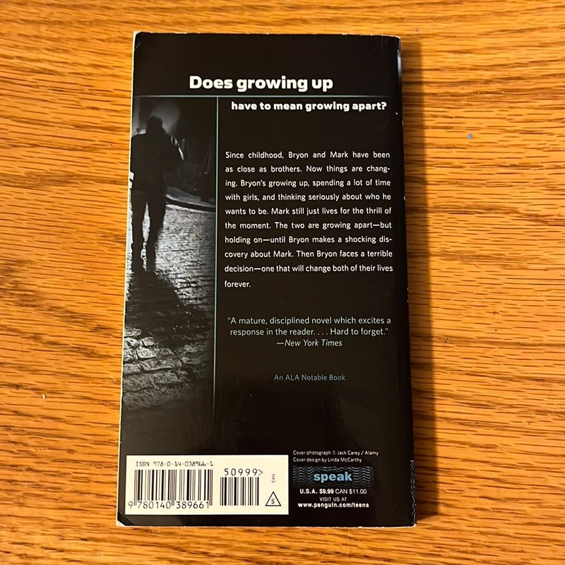 That Was Then, This Is Now by S. E. Hinton