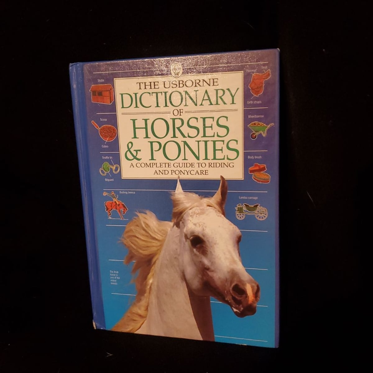 Dictionary of horses and ponies - internet Linked by Struan Reid