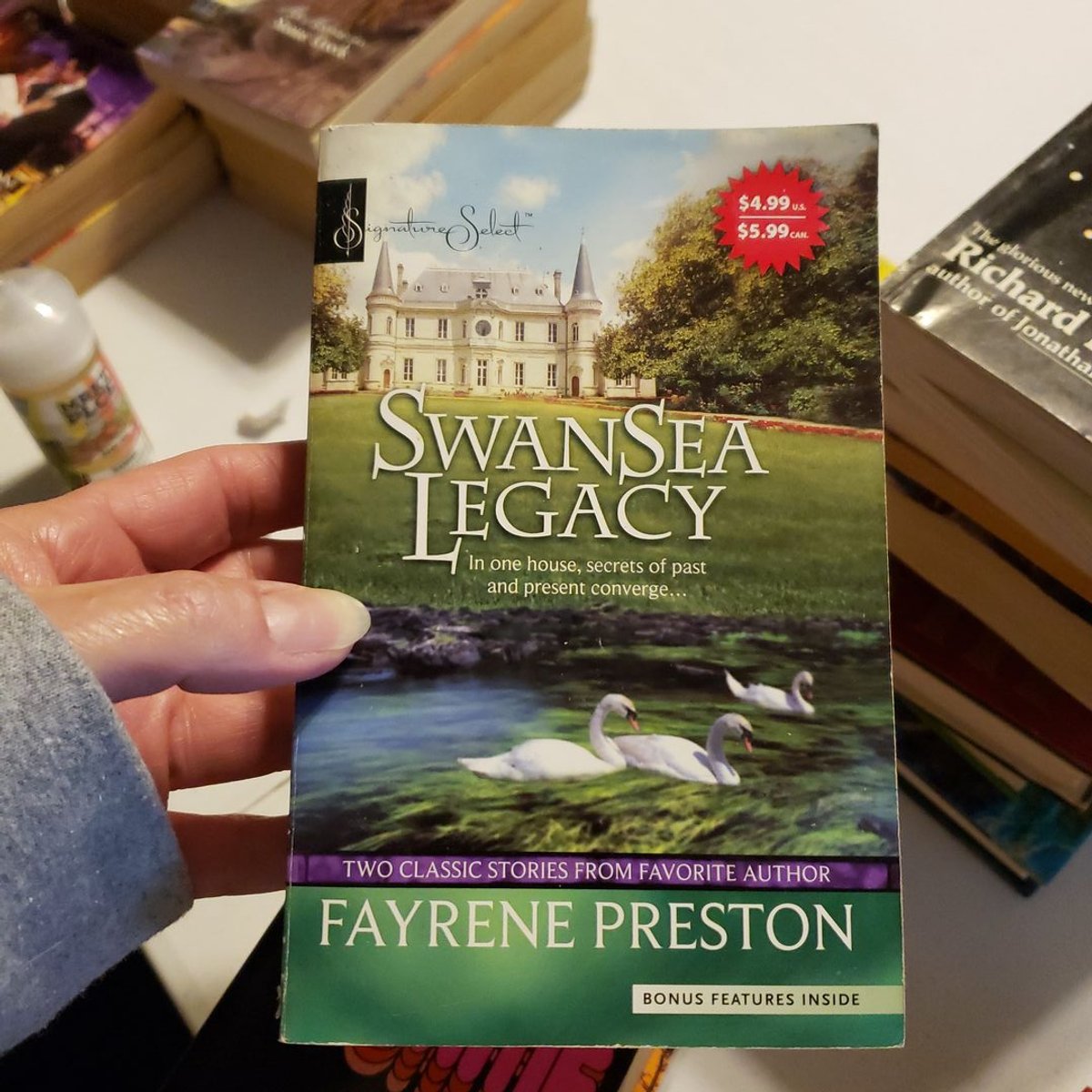 Swansea Legacy by Fayrene Preston