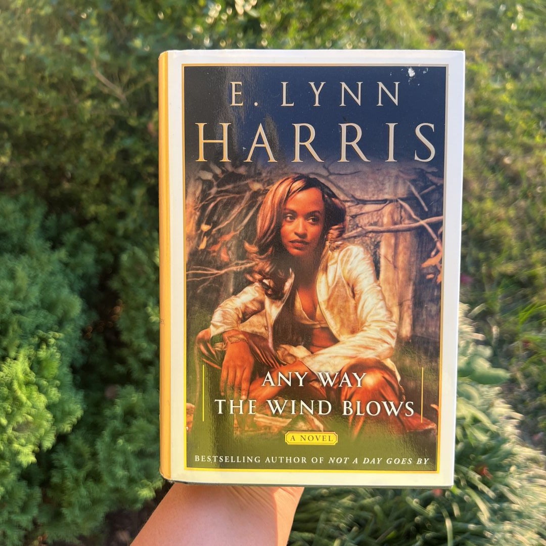 Any Way the Wind Blows by E. Lynn Harris