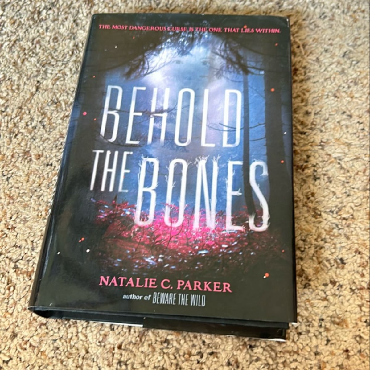 Behold the Bones by Natalie C. Parker