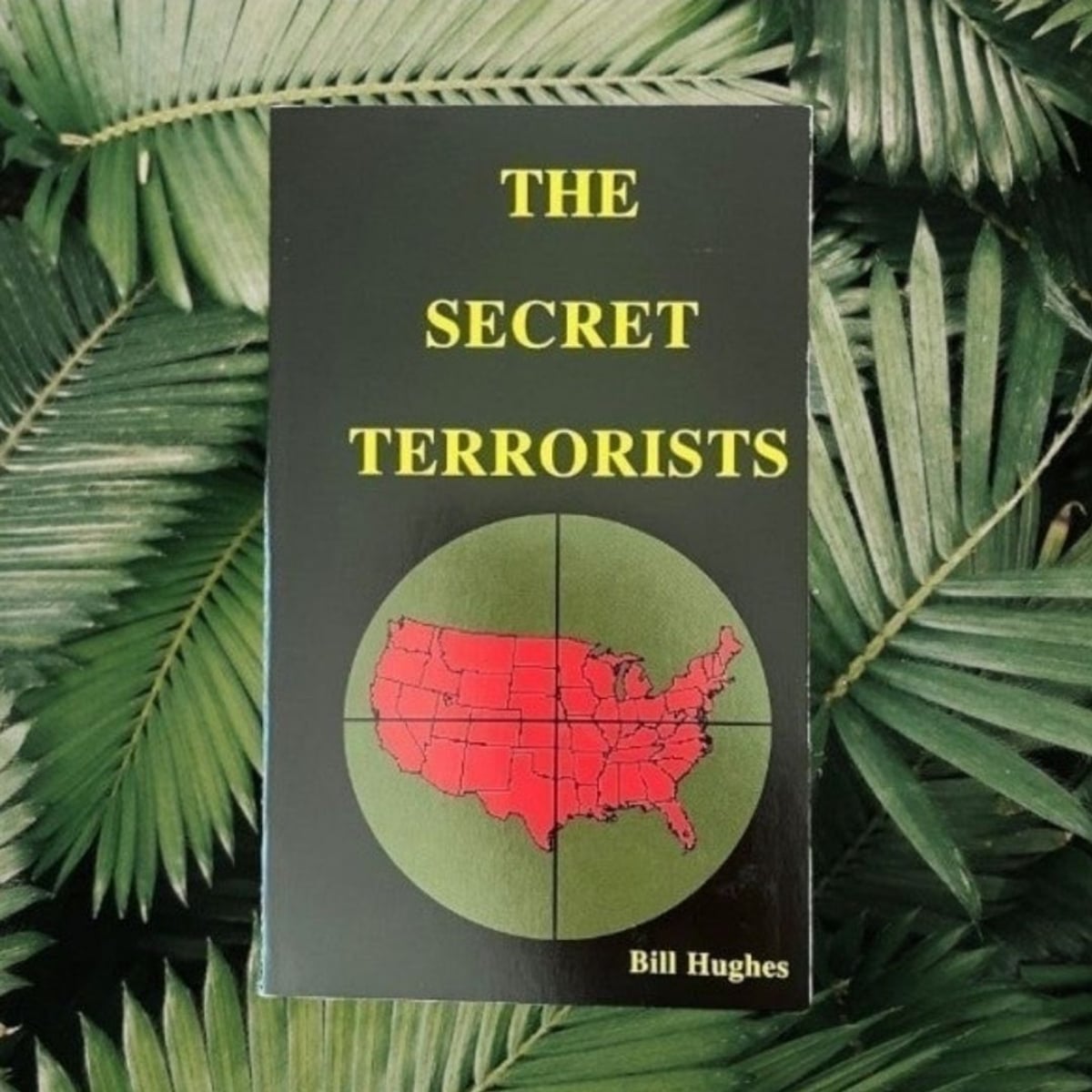 The Secret Terrorists by Bill Hughes, Paperback | Pangobooks
