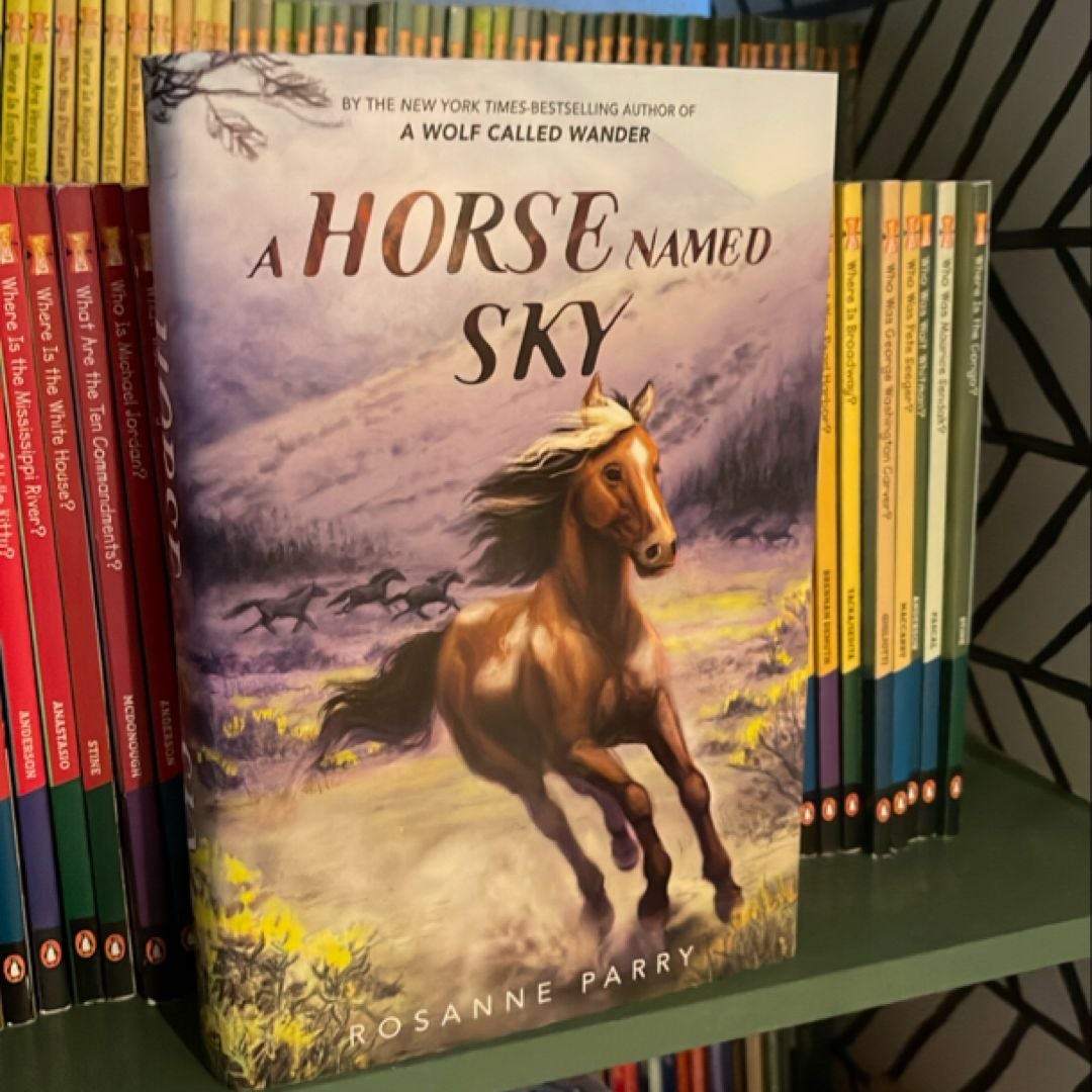 A Horse Named Sky by Rosanne Parry