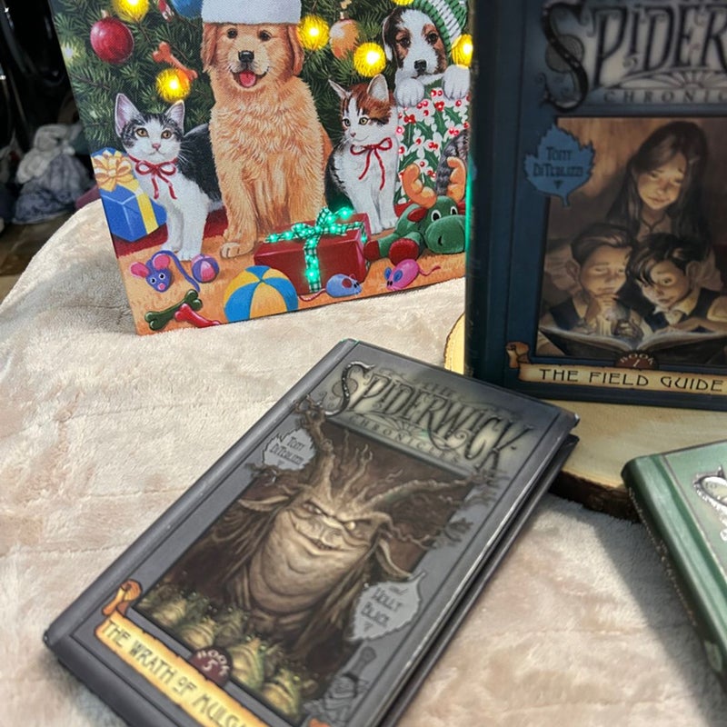 The Spiderwick Chronicles First Edition Hardcovers 1990 Volumes 1-5 by ...