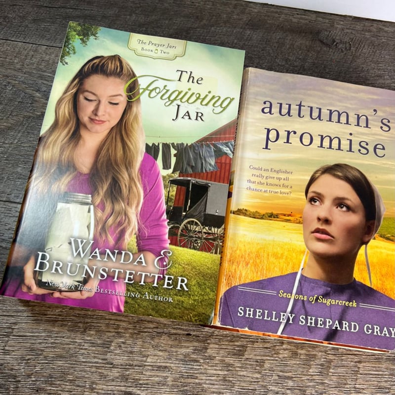 Amish Fiction Mixed Lot by Multiple, Paperback | Pangobooks