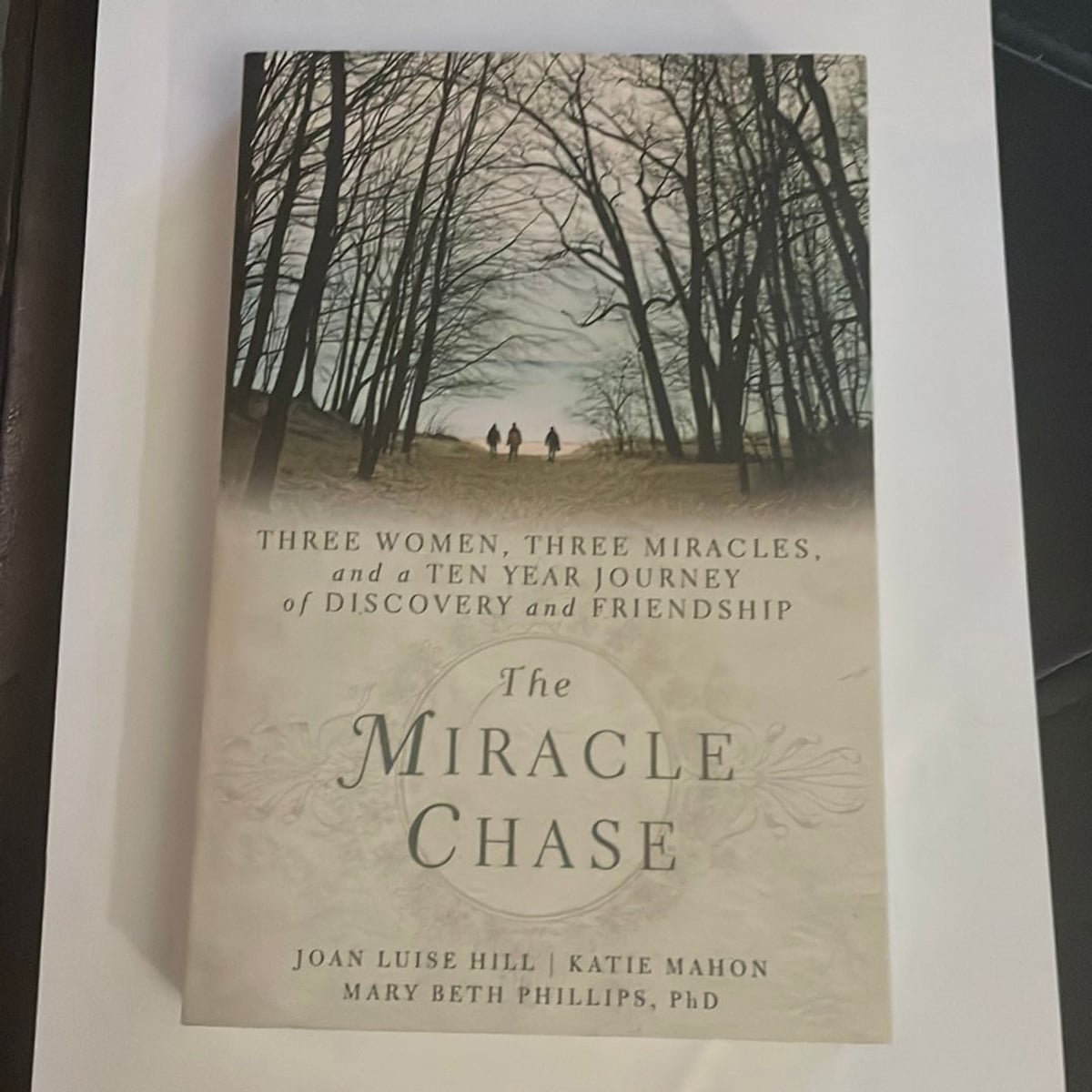 The Miracle Chase by Joan Hill, Katie Mahon, Mary Beth Phillips
