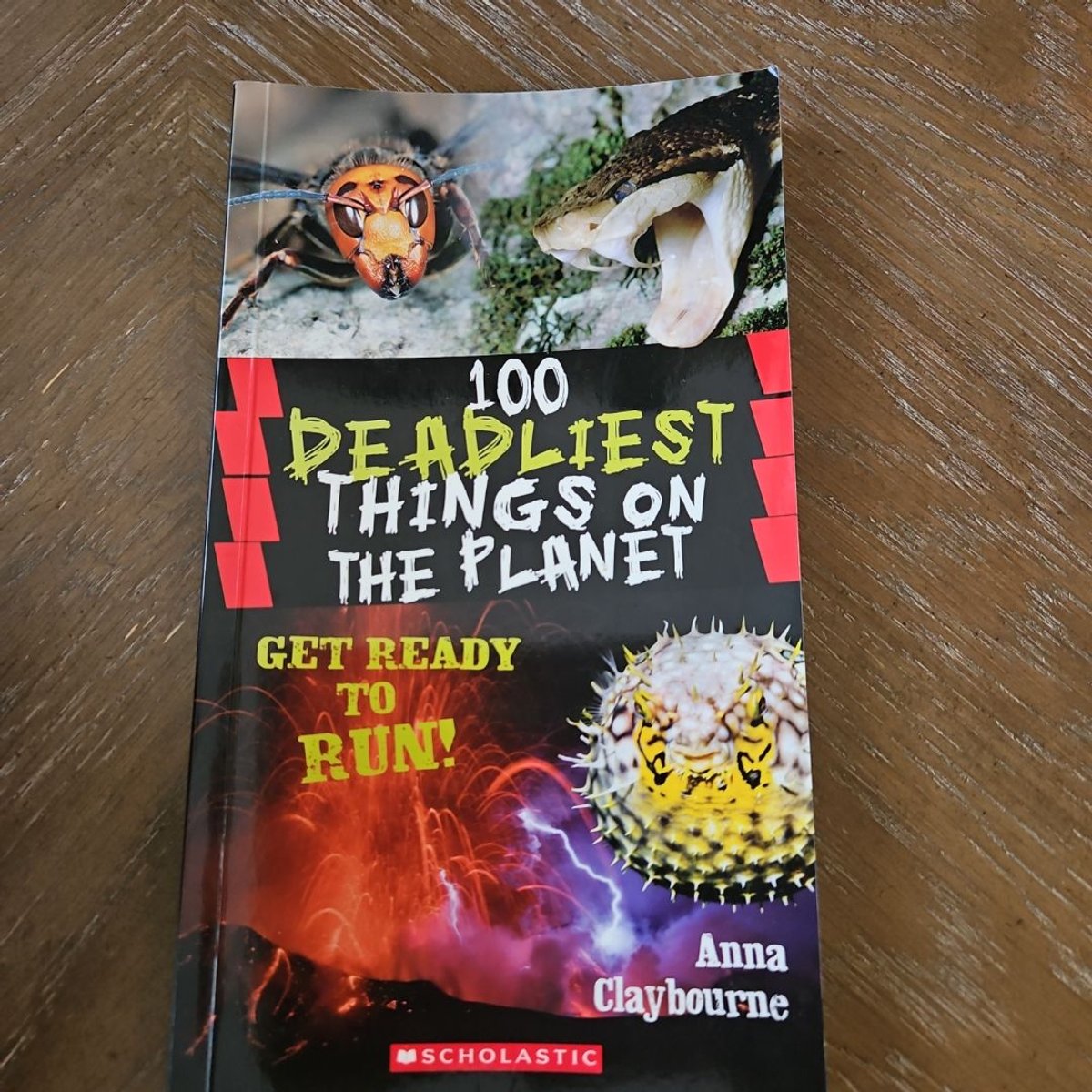 100 Deadliest Things on the Planet by Anna Claybourne