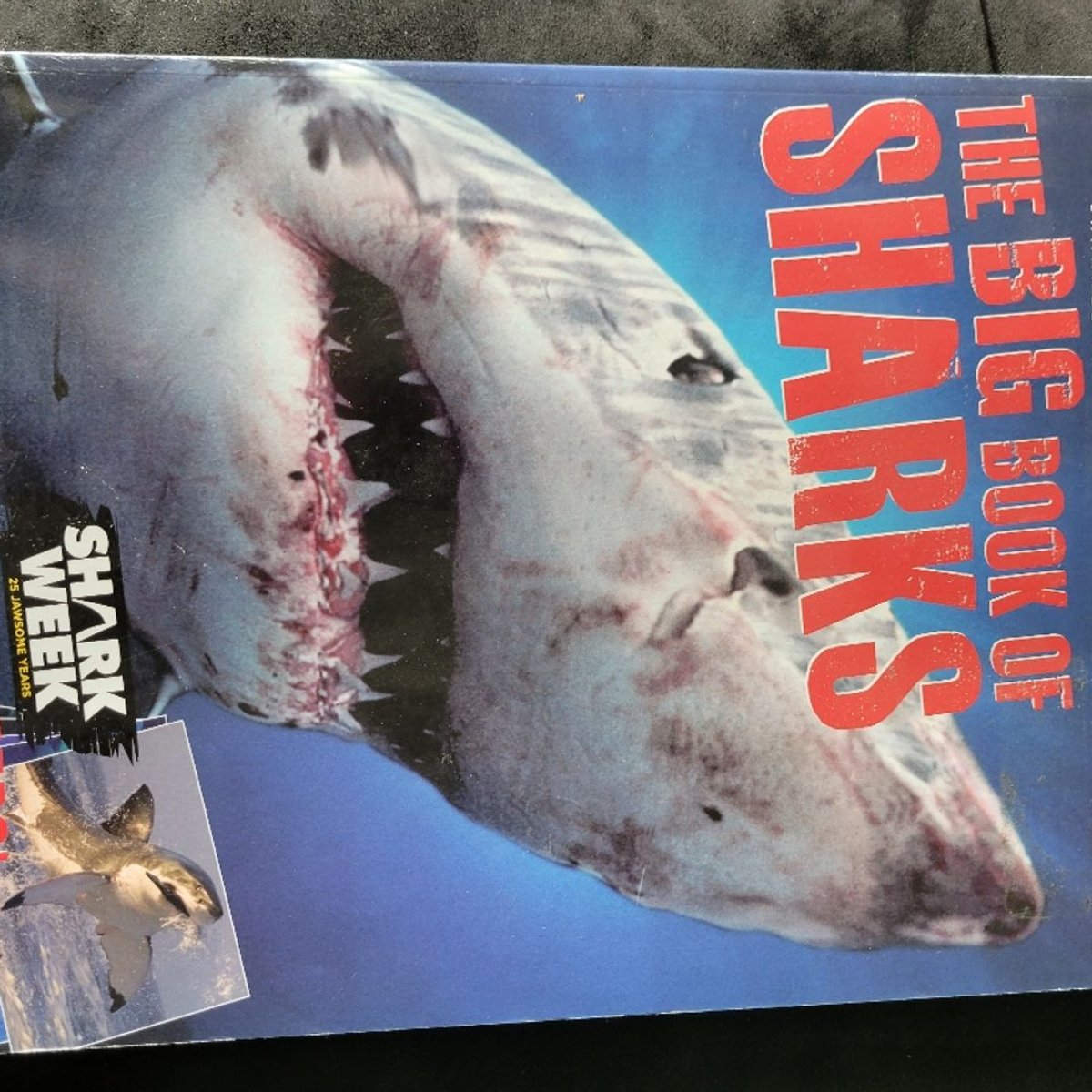 The Big Book of Sharks by Discovery Channel