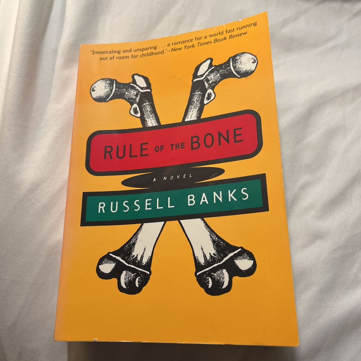 Rule of the Bone by Russell Banks