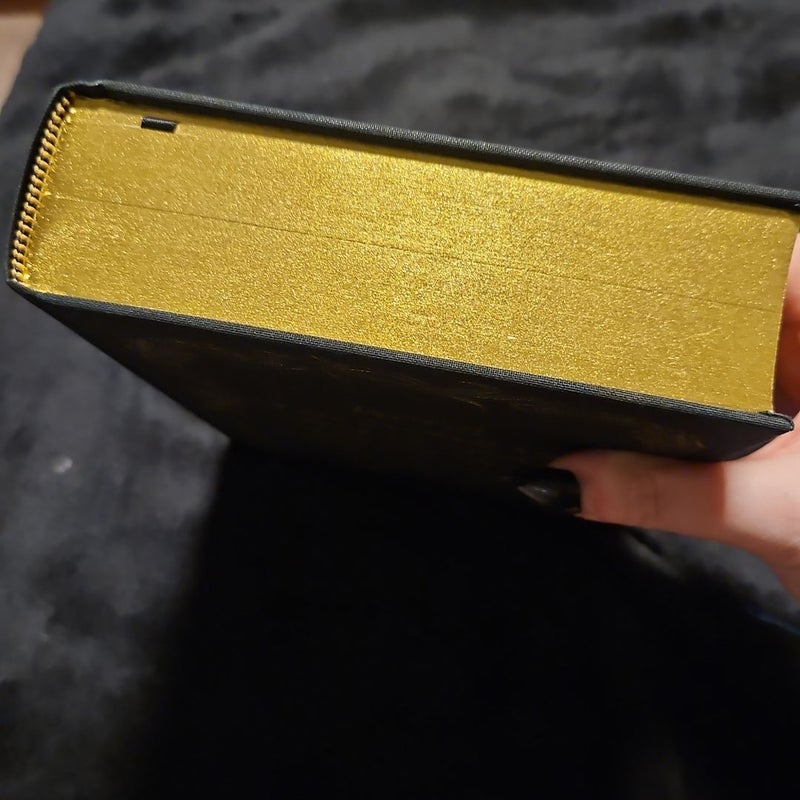 Illborn by Daniel T. Jackson, Hardcover | Pangobooks