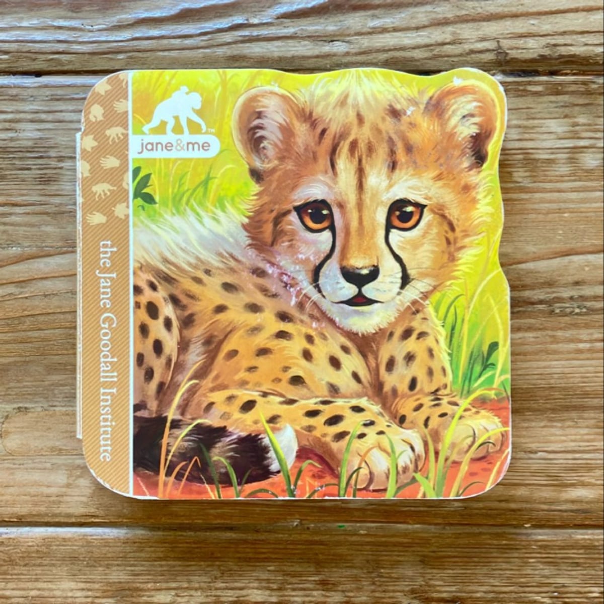 Jane and Me Cheetahs (the Jane Goodall Institute) by Jaye Garnett