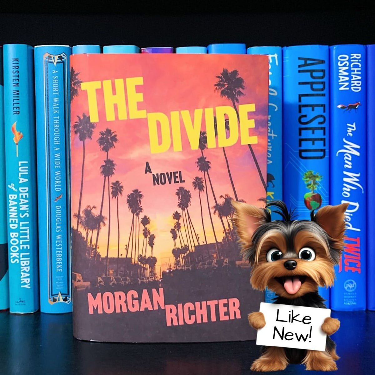 The Divide by Morgan Richter