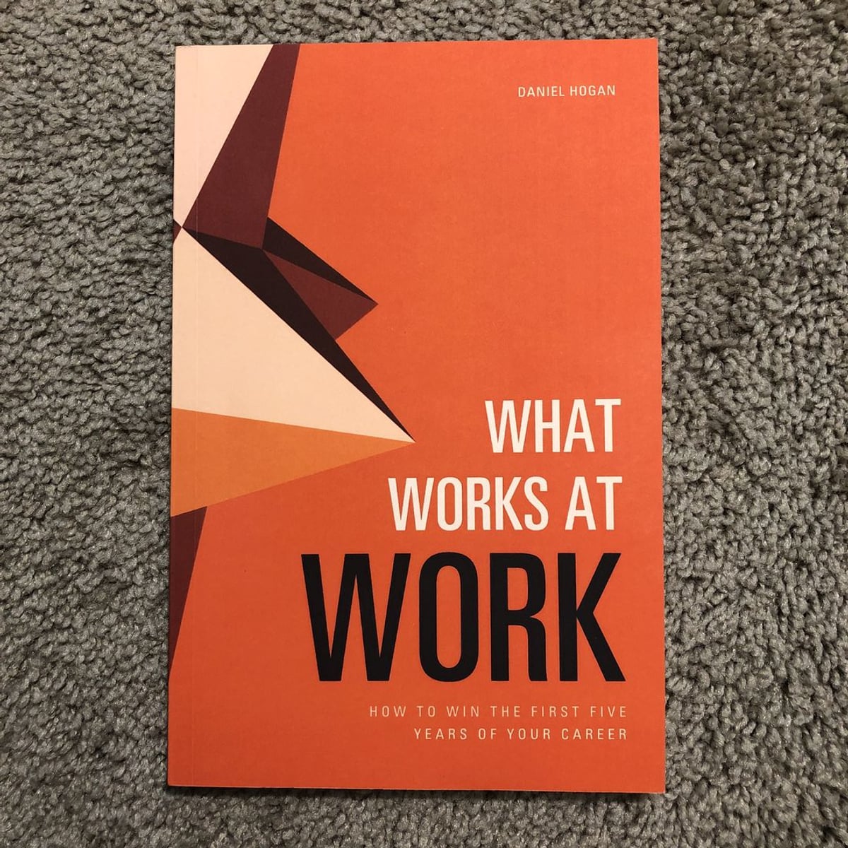 What Works at Work by Daniel Hogan