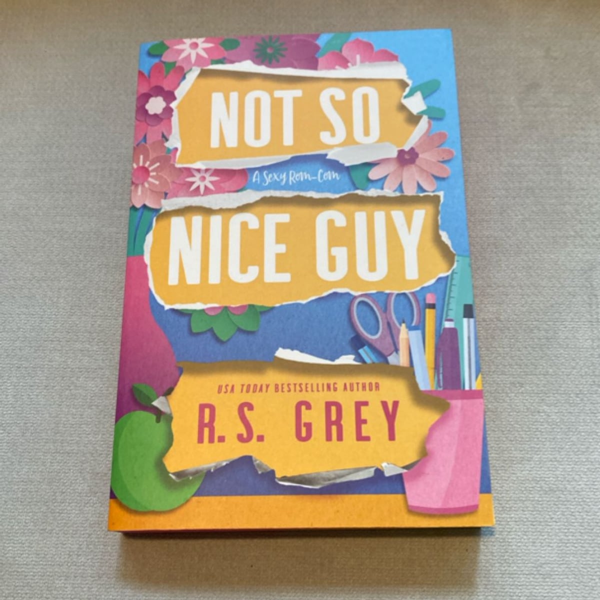 Not So Nice Guy by R. S. Grey