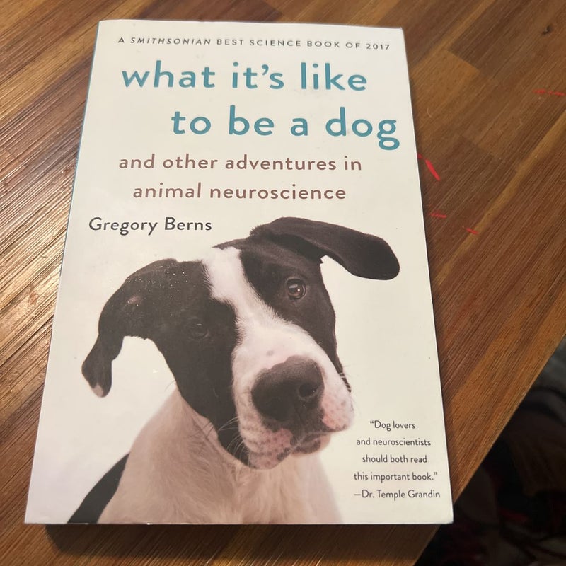 What It's Like to Be a Dog