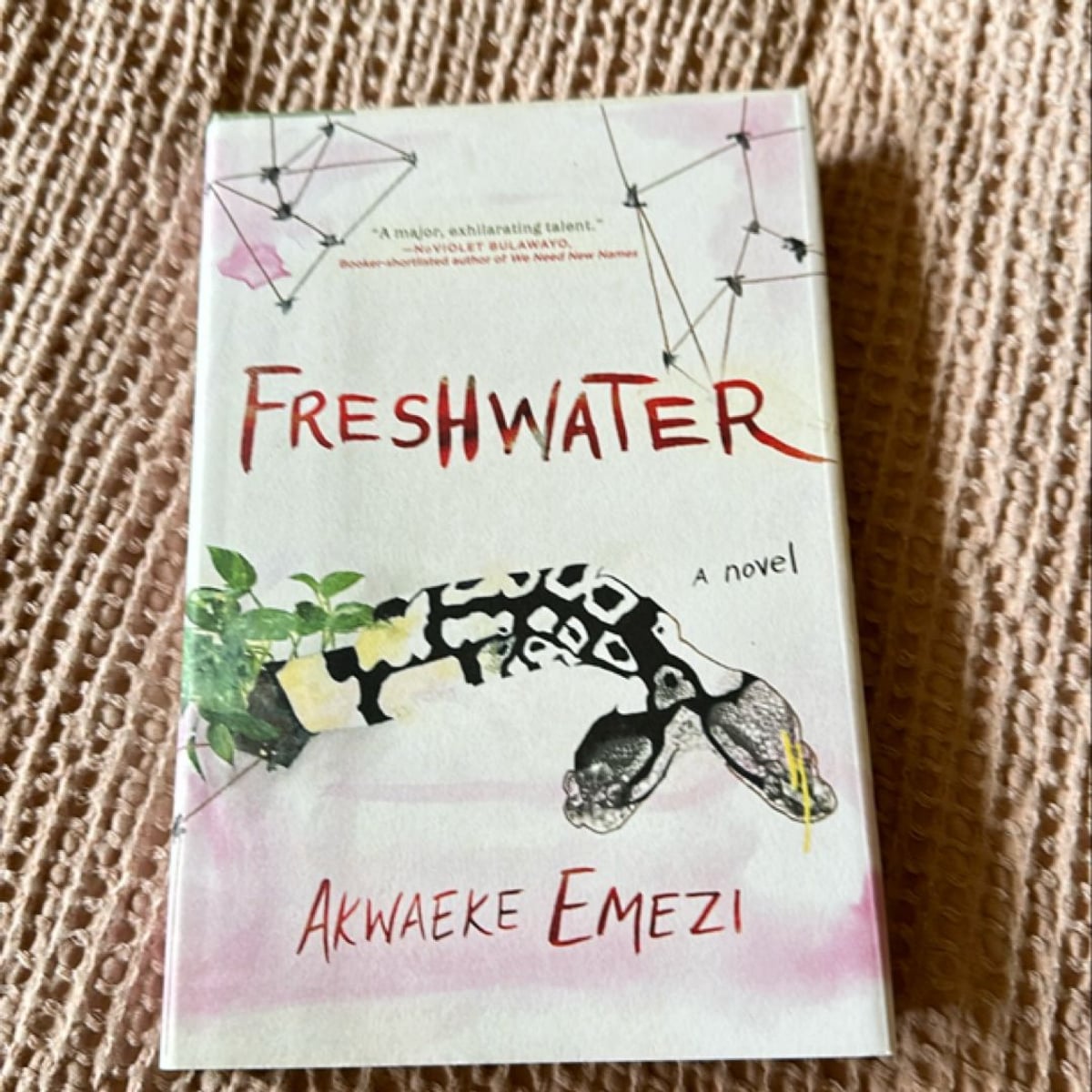 Freshwater by Akwaeke Emezi