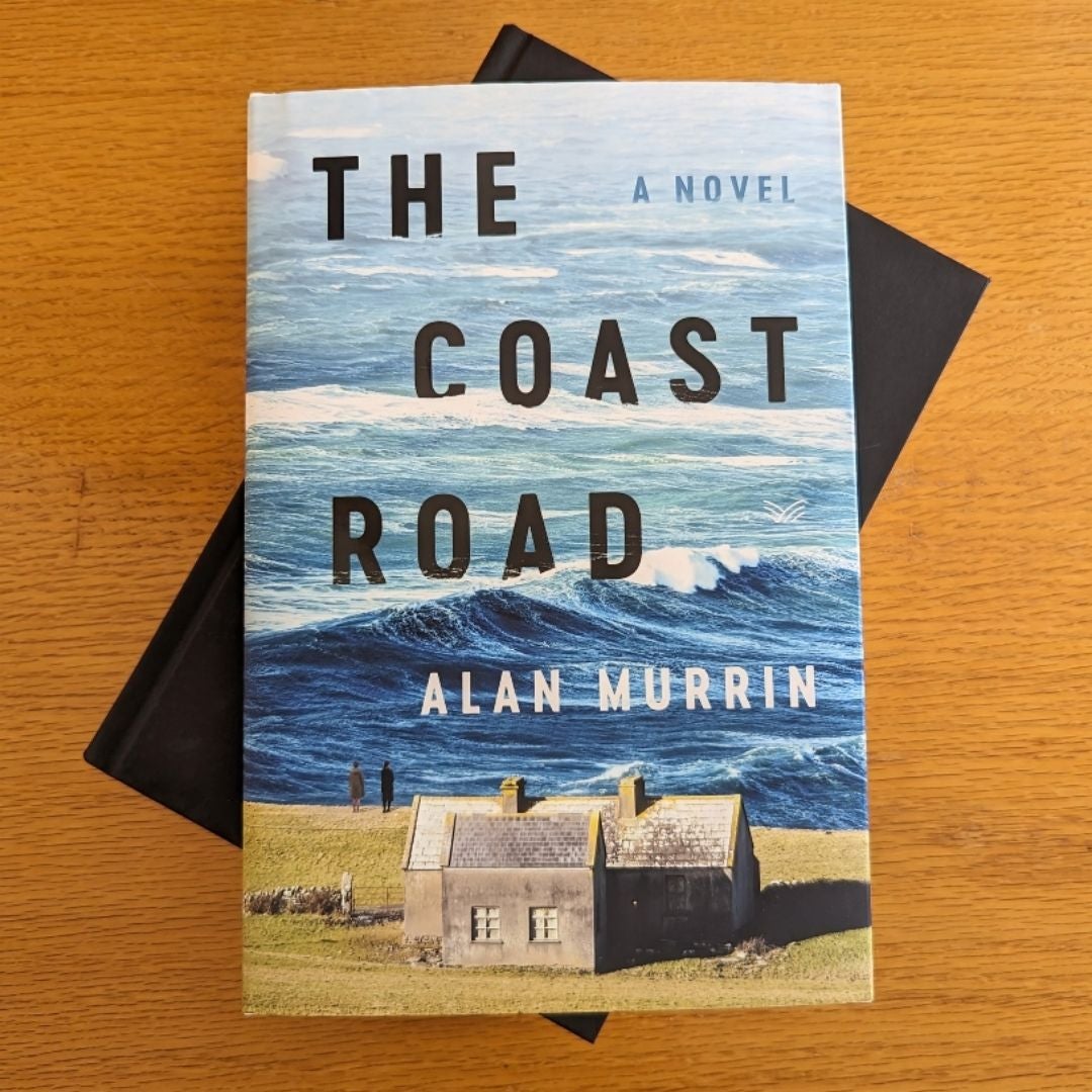 The Coast Road by Alan Murrin