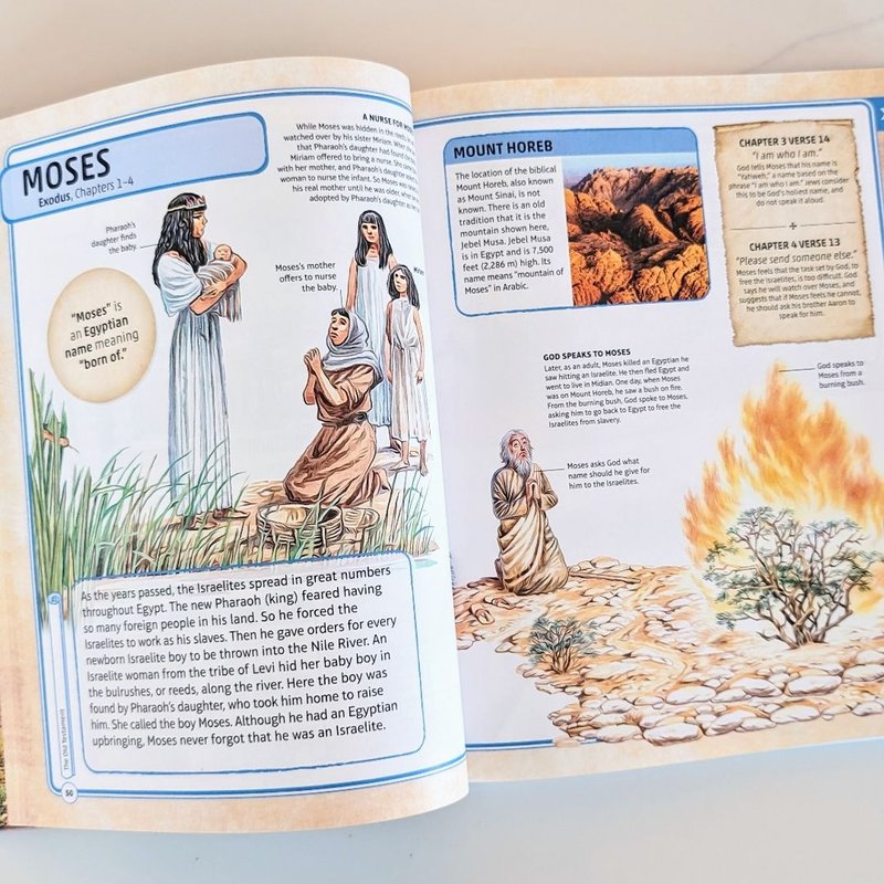 The People of the Bible Visual Encyclopedia by DK, Hardcover | Pangobooks