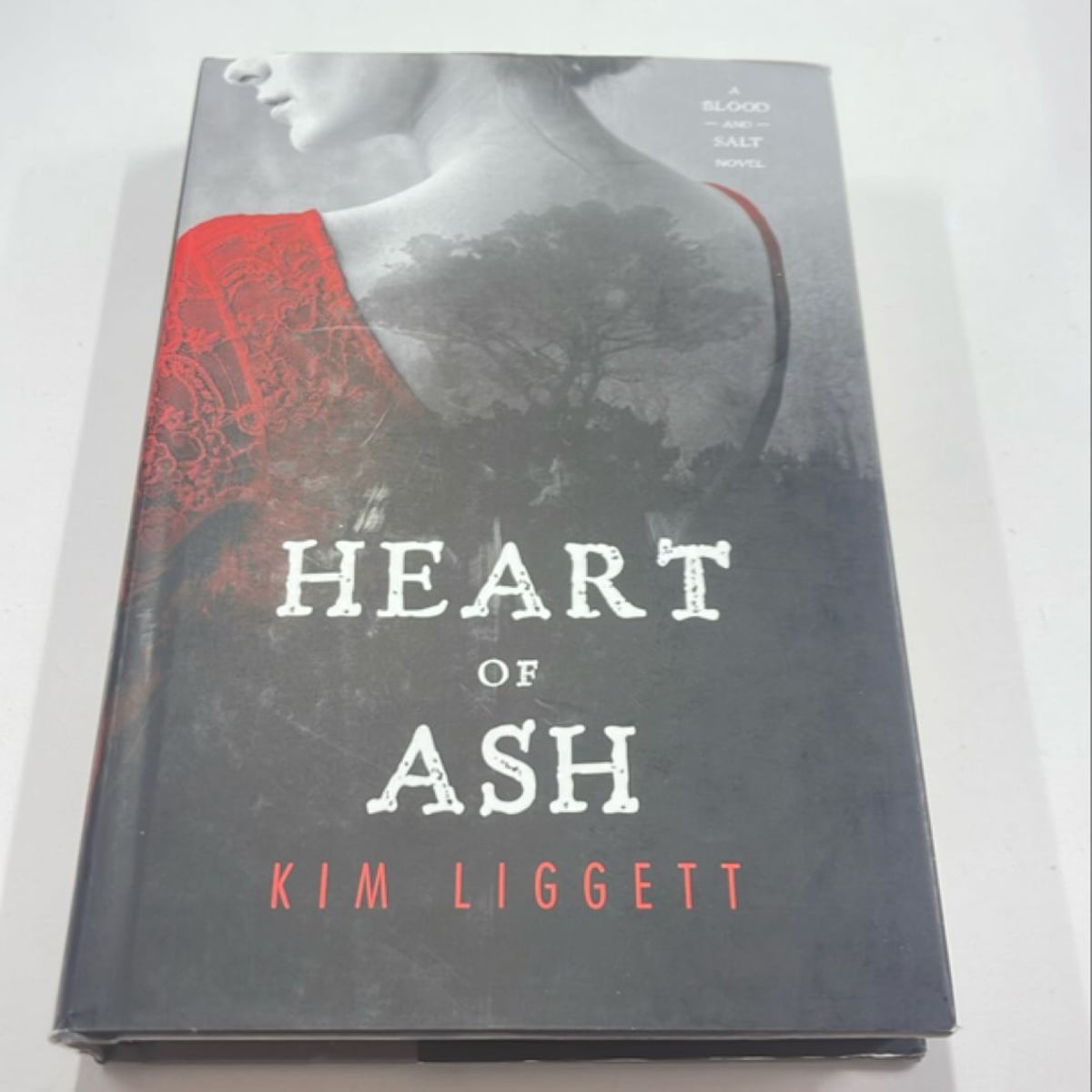 Heart of Ash by Kim Liggett