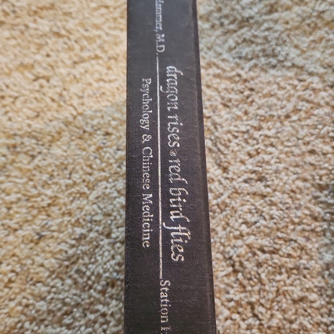 Dragon Rises, Red Bird Flies by Leon Hammer, Ted J. Kaptchuk