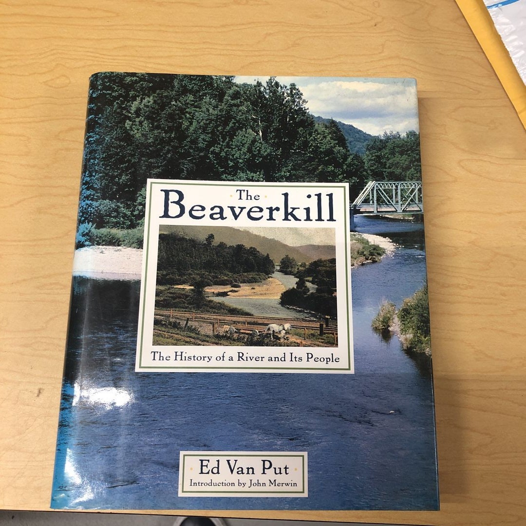 The Beaverkill by Ed Van Put, John Merwin