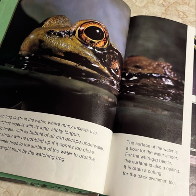 Life in Ponds and Streams by William H. Amos