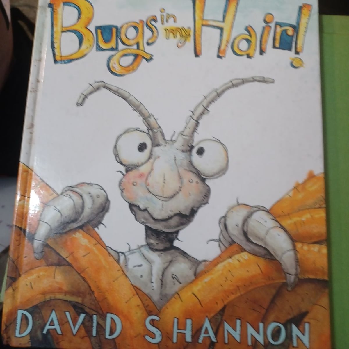 Bugs in My Hair! by David Shannon