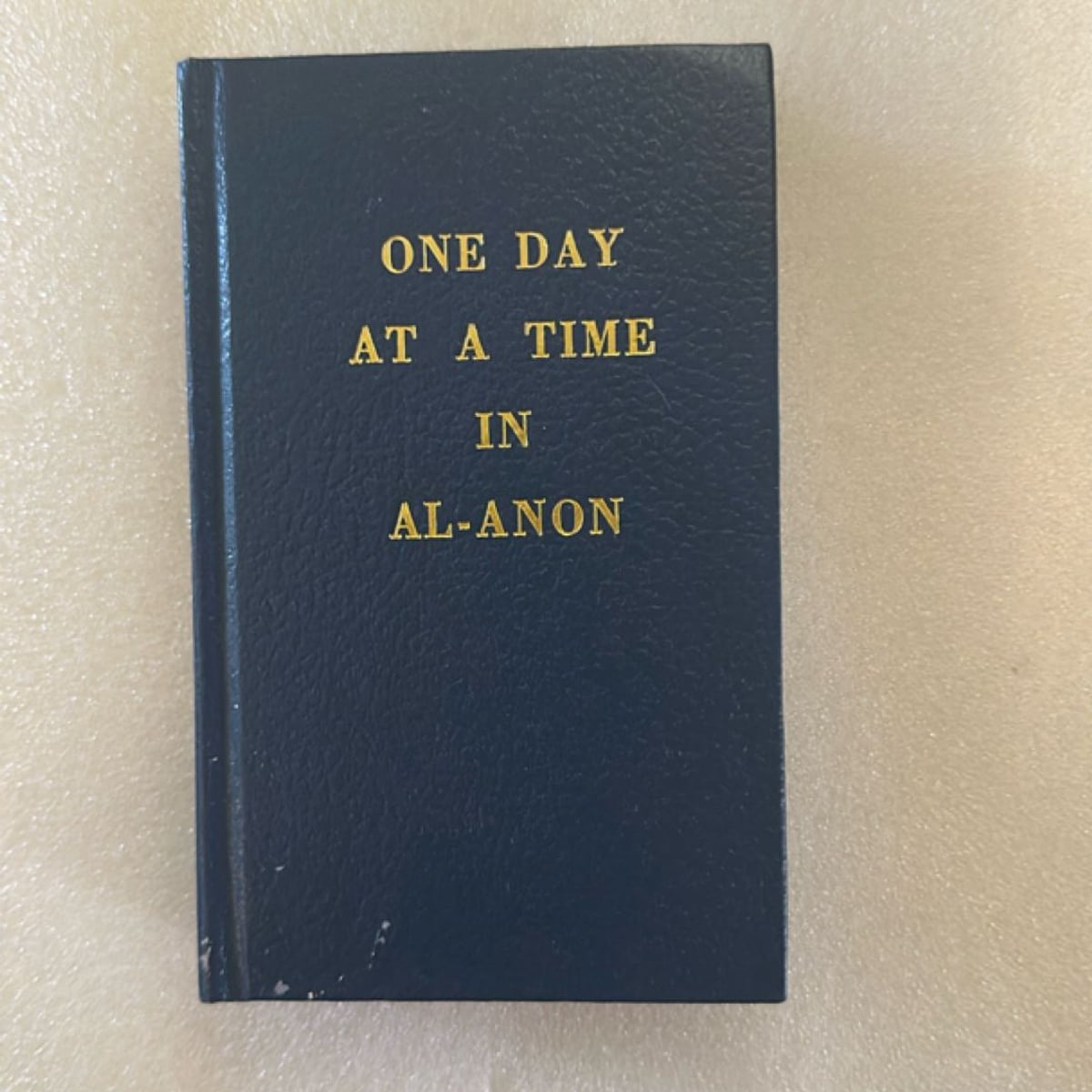 One Day at a Time in Al-Anon by Alcoholics Anonymous World