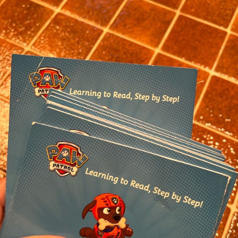 Phonics Patrol! (PAW Patrol) by Jennifer Liberts