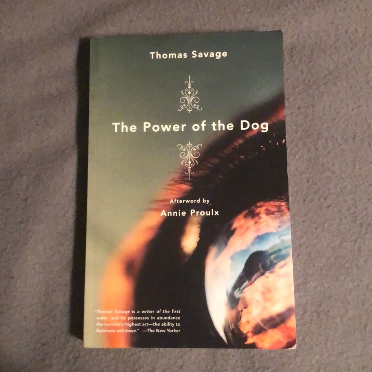 The Power of the Dog by Thomas Savage, Annie Proulx