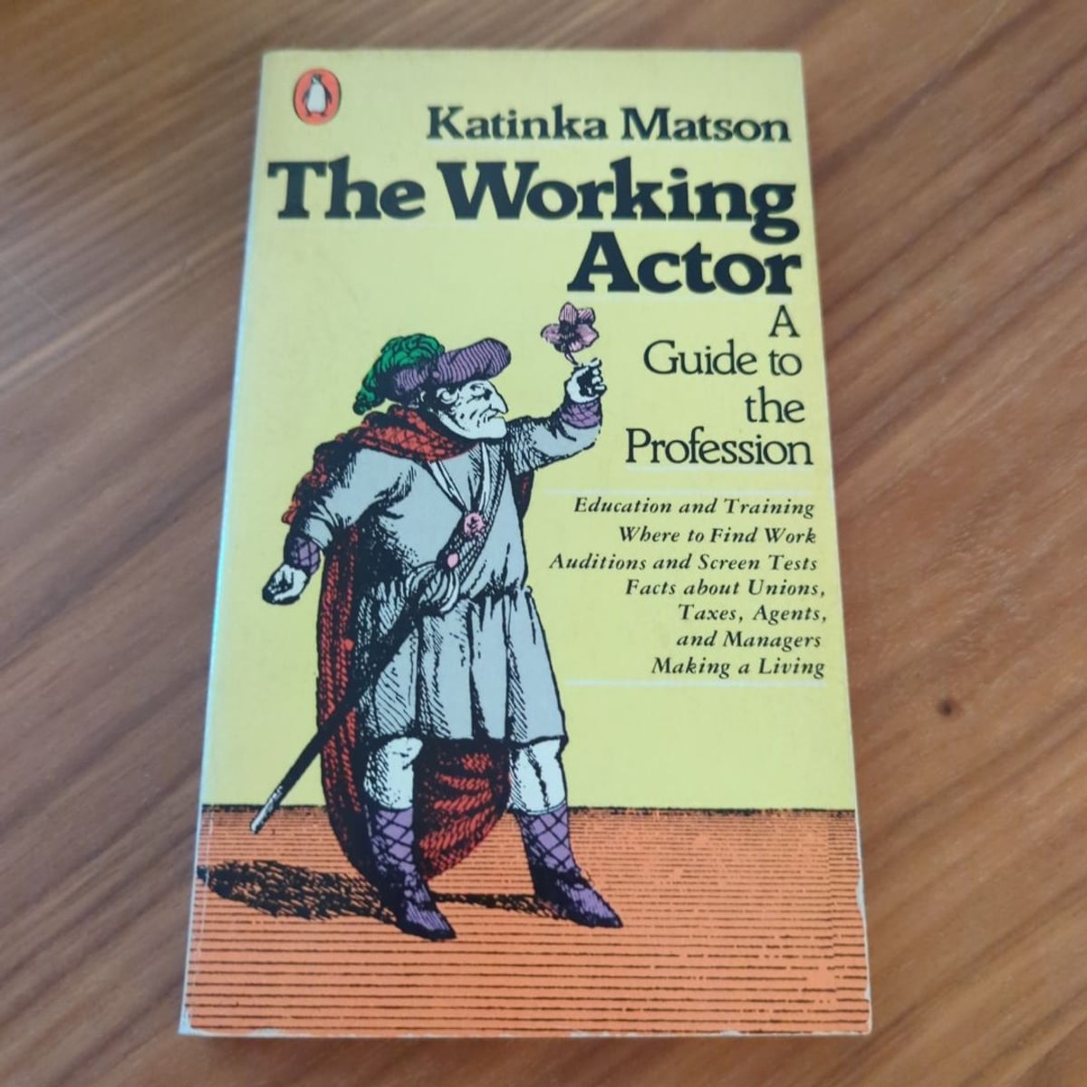 The Working Actor by Katinka Matson