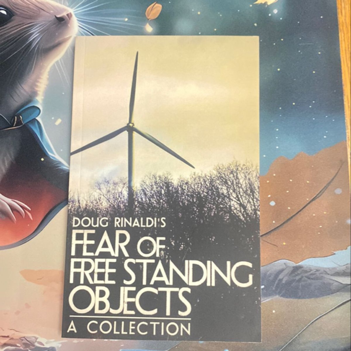 Fear of Free Standing Objects by Doug Rinaldi