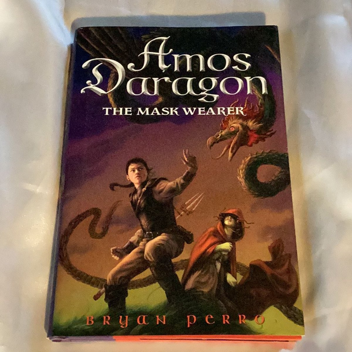 The Mask Wearer by Bryan Perro, Y. Maudet