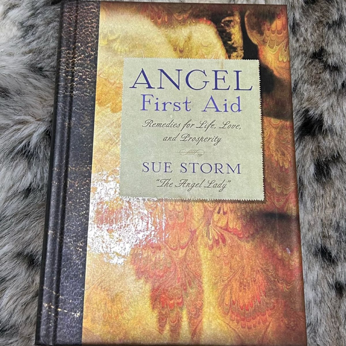 Angel First Aid by Sue Storm