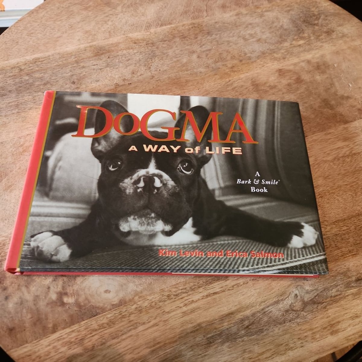 Dogma by Kim Levin, Erica Salmon, John O'Neill