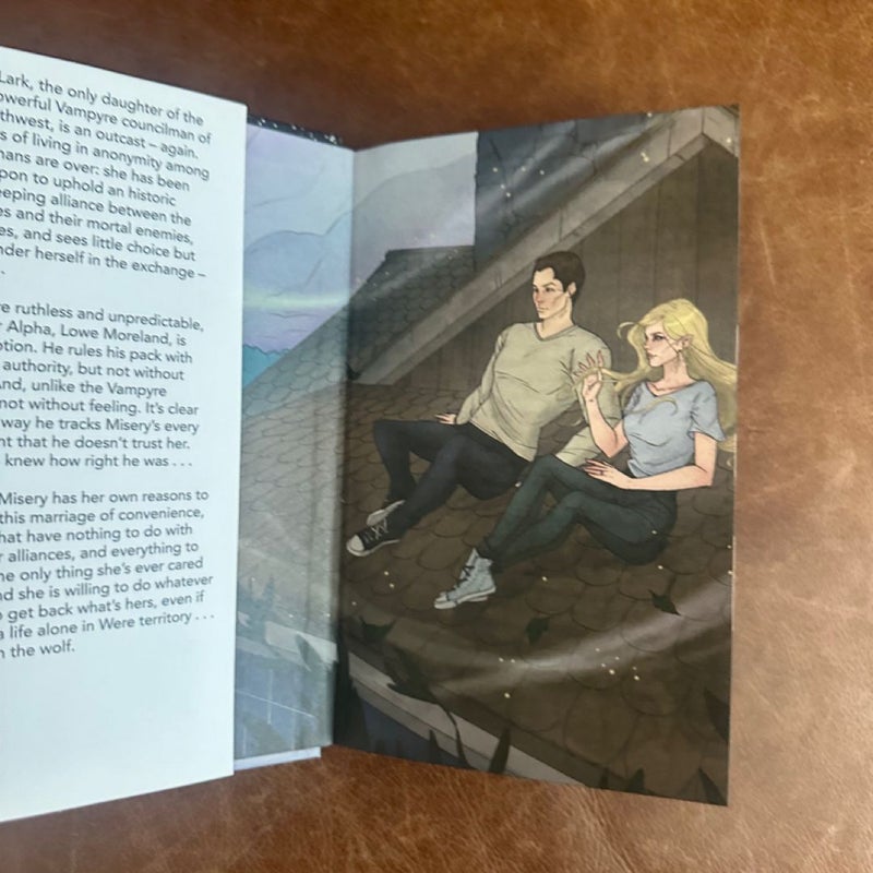 Illumicrate Bride by Afterlight signed special edition by Ali hazelwood ...