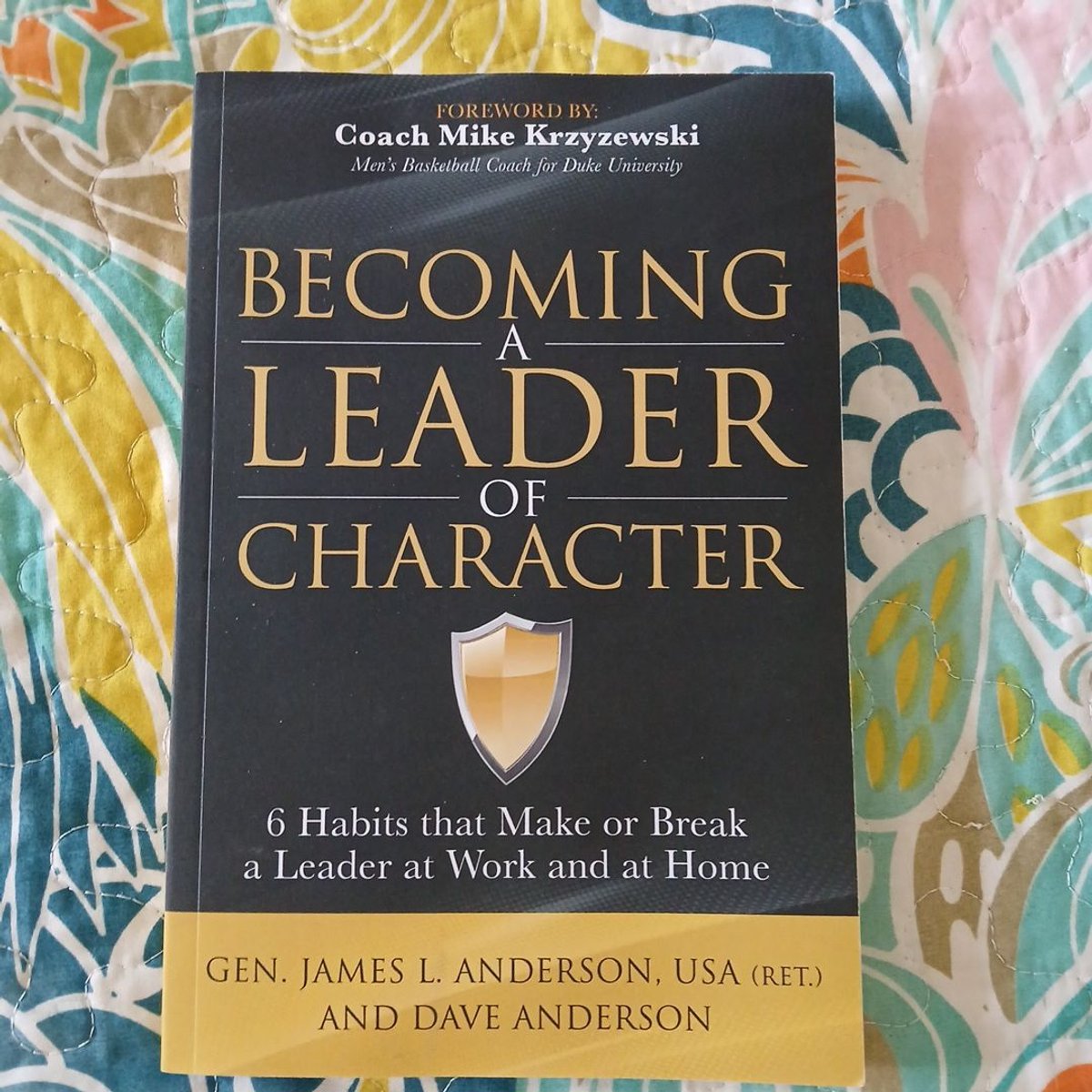 Becoming a Leader of Character by Dave Anderson, James L. Anderson ...