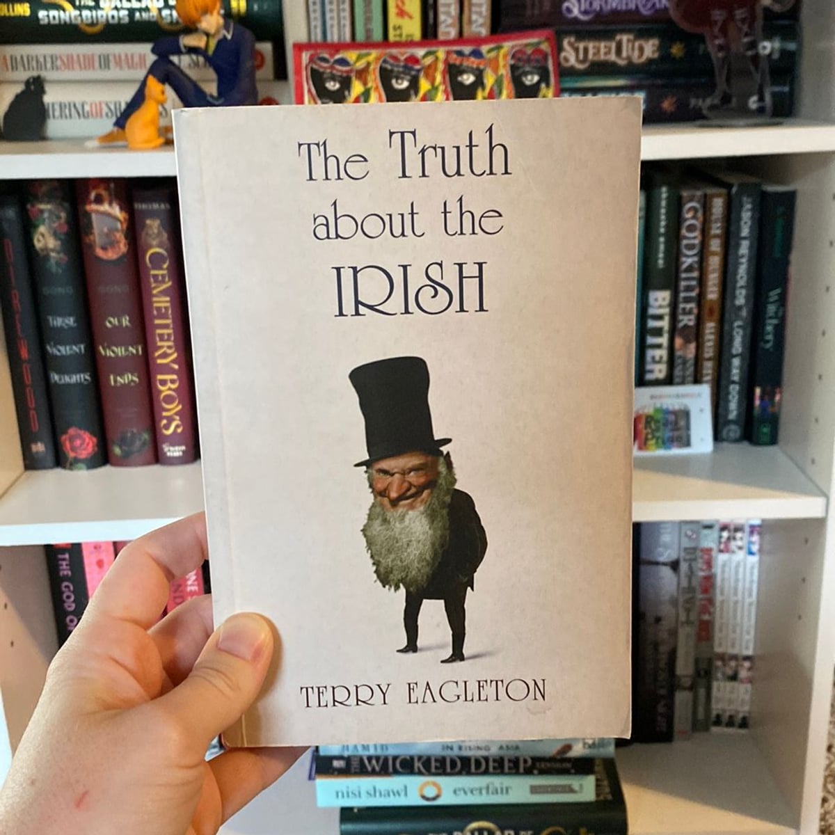 The Truth about the Irish by Terry Eagleton