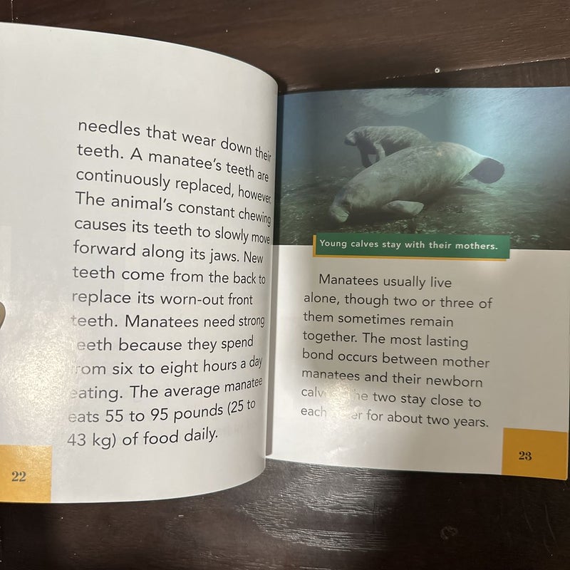 Ocean Mammals by Elaine Landau