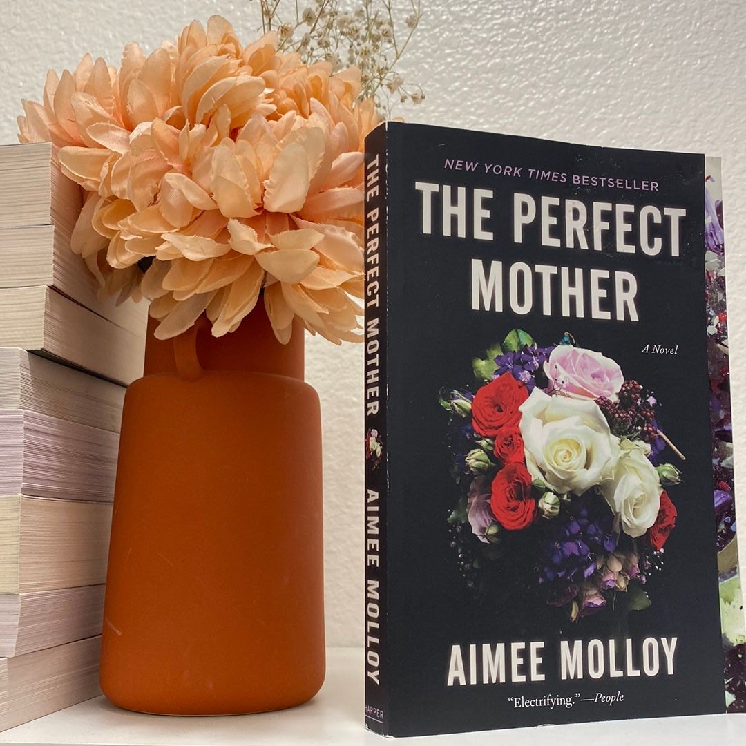 The Perfect Mother by Aimee Molloy, Paperback | Pangobooks