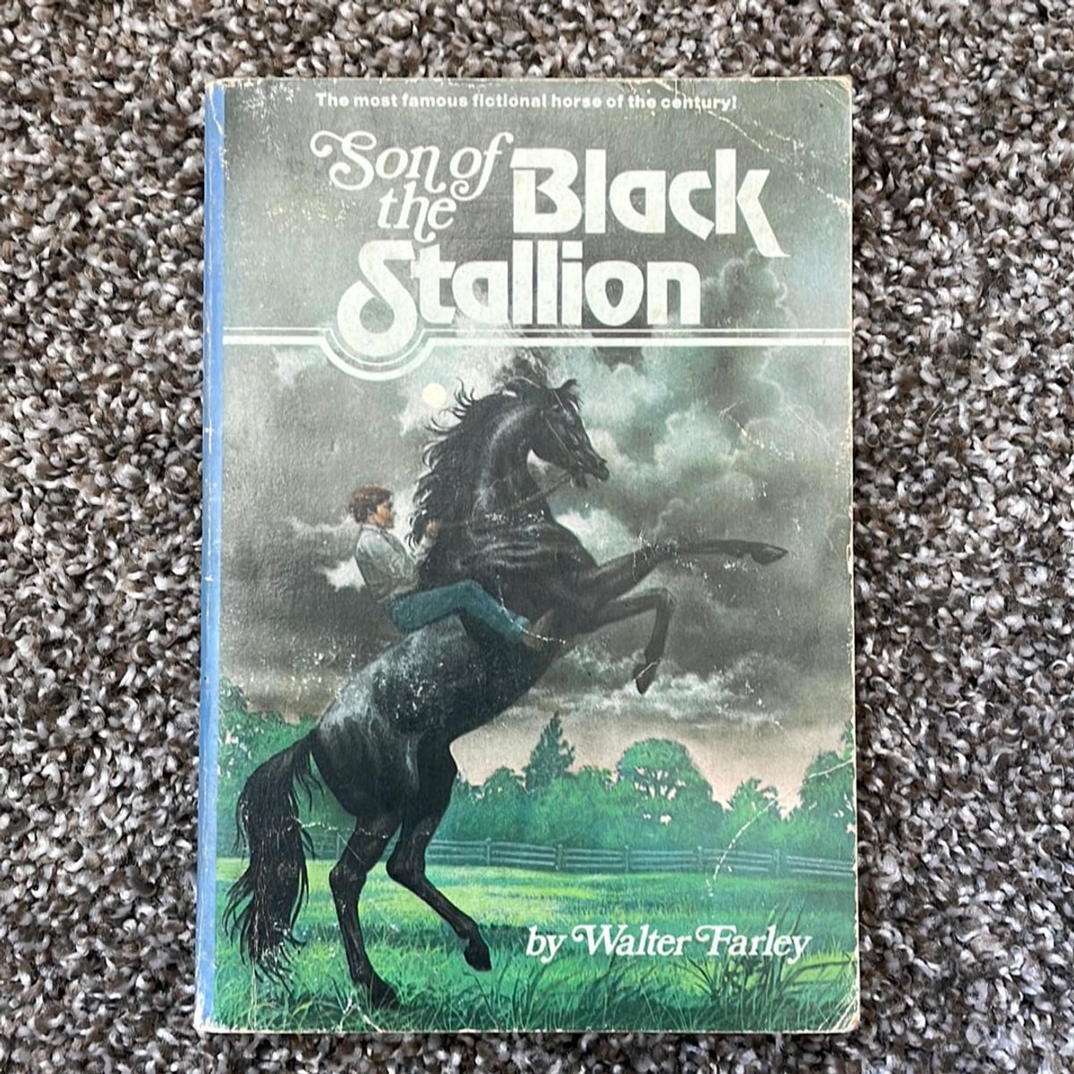 Son of the Black Stallion by Walter Farley
