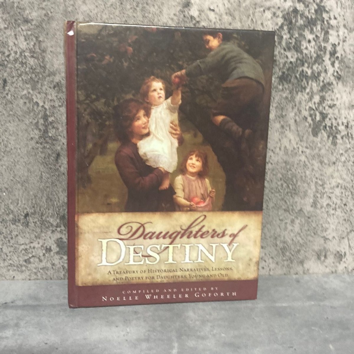 Daughters of Destiny by Noelle Wheeler