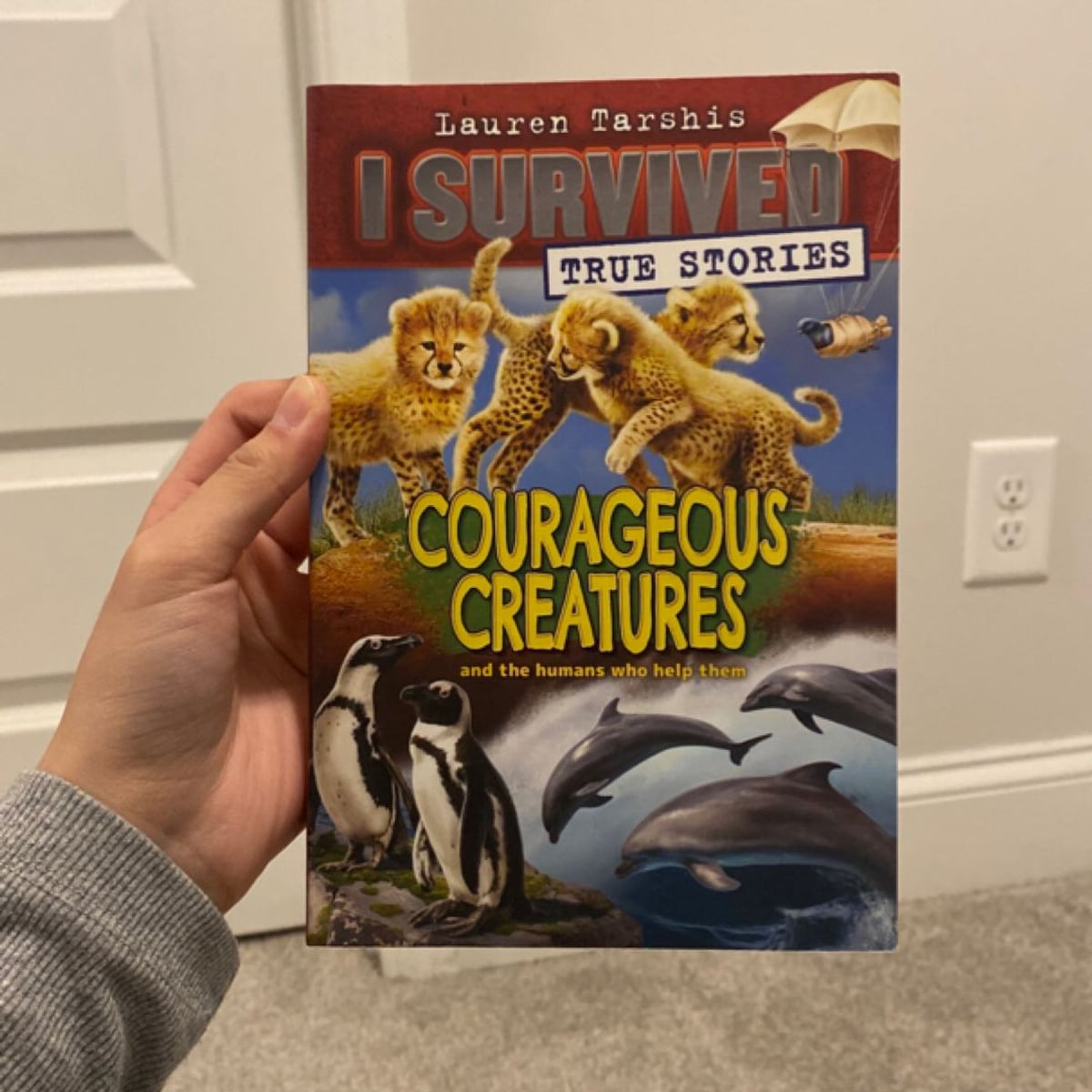 Animal Survivors (I Survived True Stories #4) by Lauren Tarshis