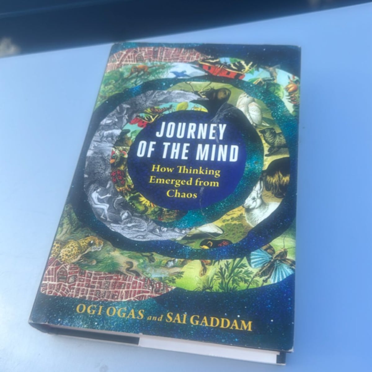 Journey of the Mind by Sai Gaddam, Ogi Ogas
