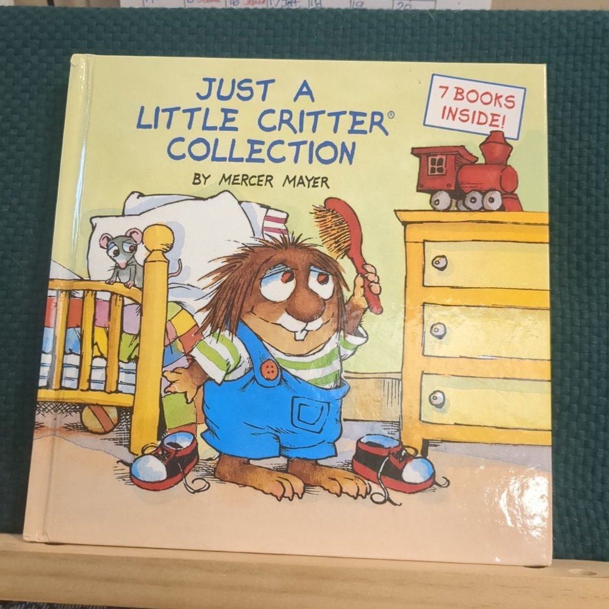 Just a Little Critter Collection (Little Critter) by Mercer Mayer