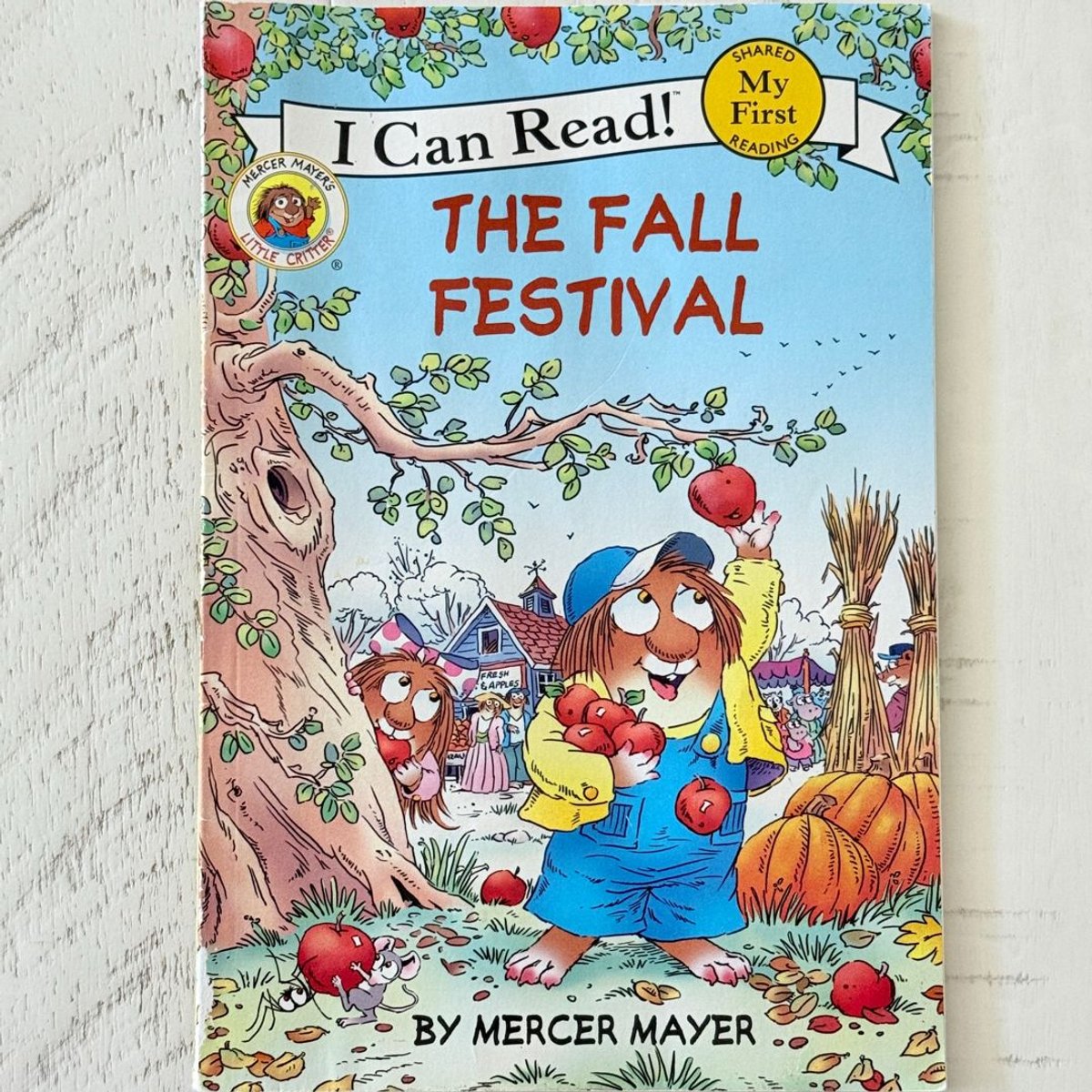 Little Critter: the Fall Festival by Mercer Mayer